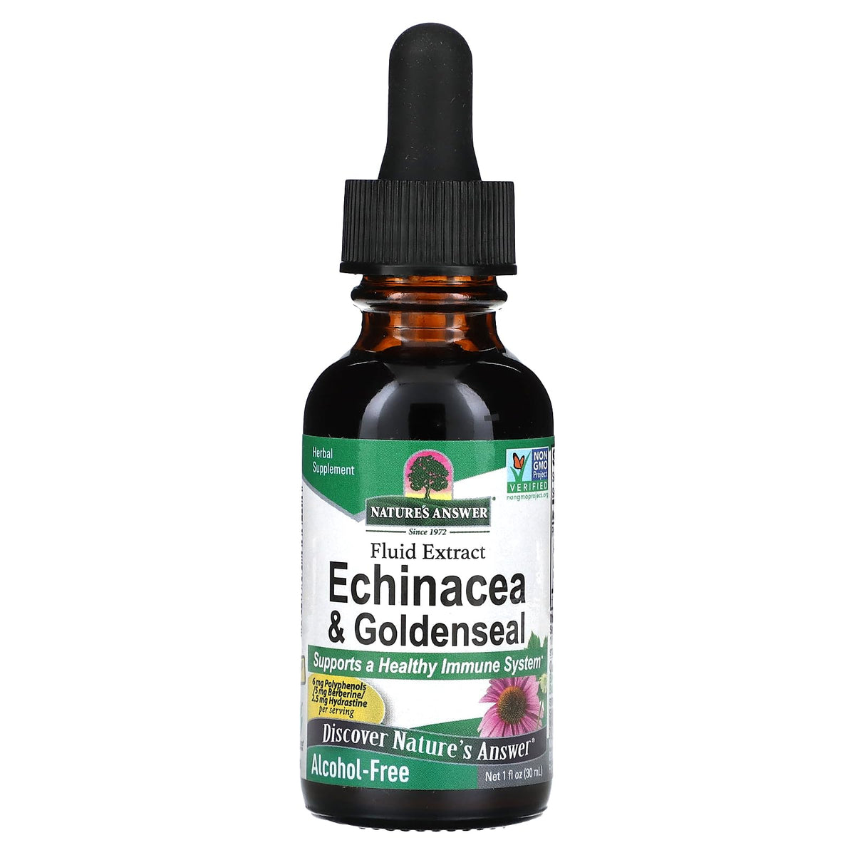 echinacea herbal supplement for immunity