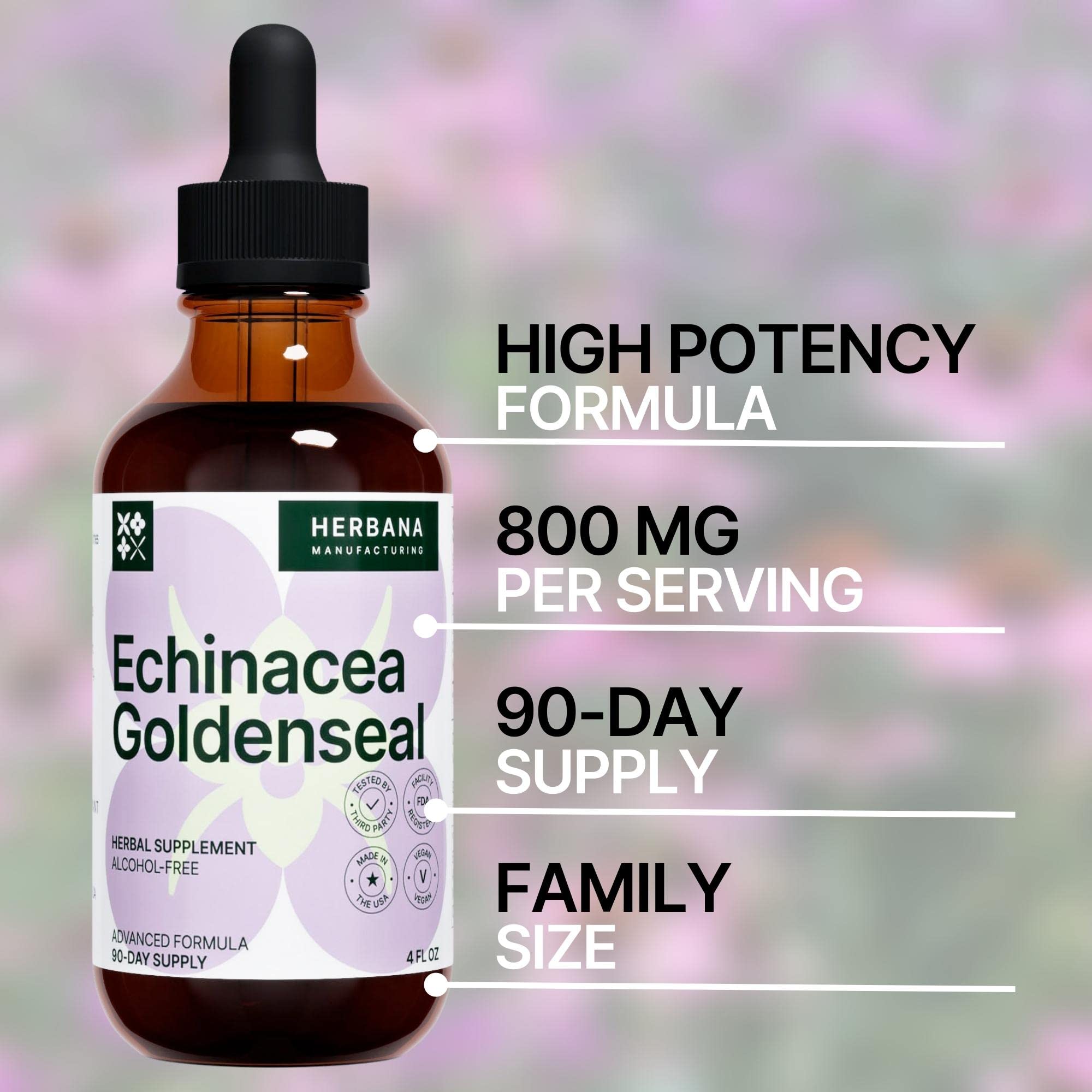 Echinacea herbal supplement for vitality
