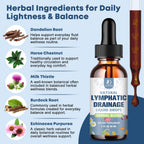 Echinacea herbal supplement for wellness