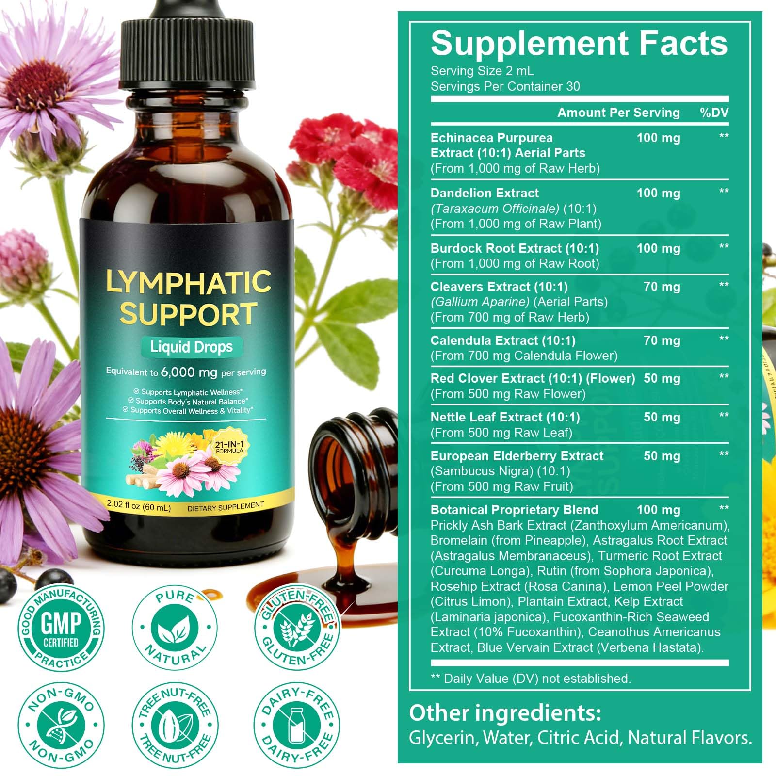 Echinacea herbal supplement for wellness