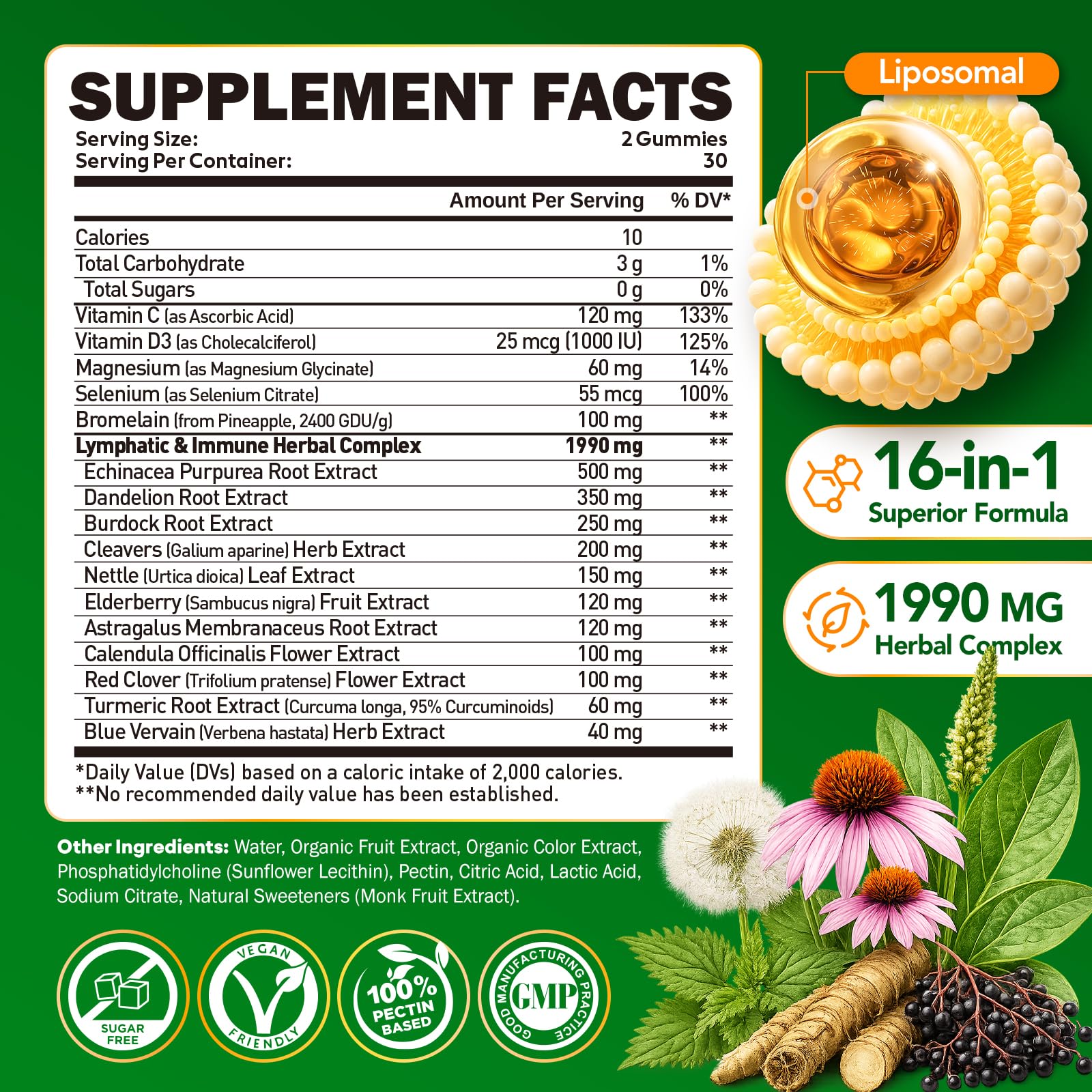echinacea herbal supplement for wellness