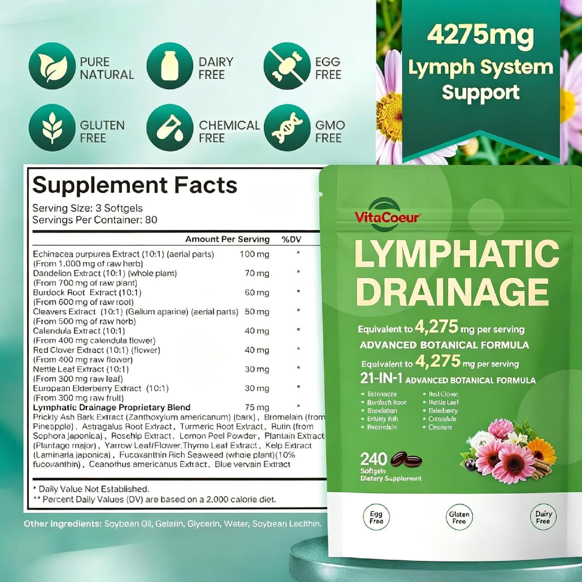 Echinacea herbal supplement for wellness