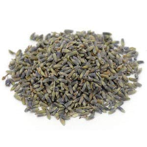 Echinacea herbal tea benefits