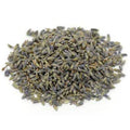 Echinacea herbal tea benefits