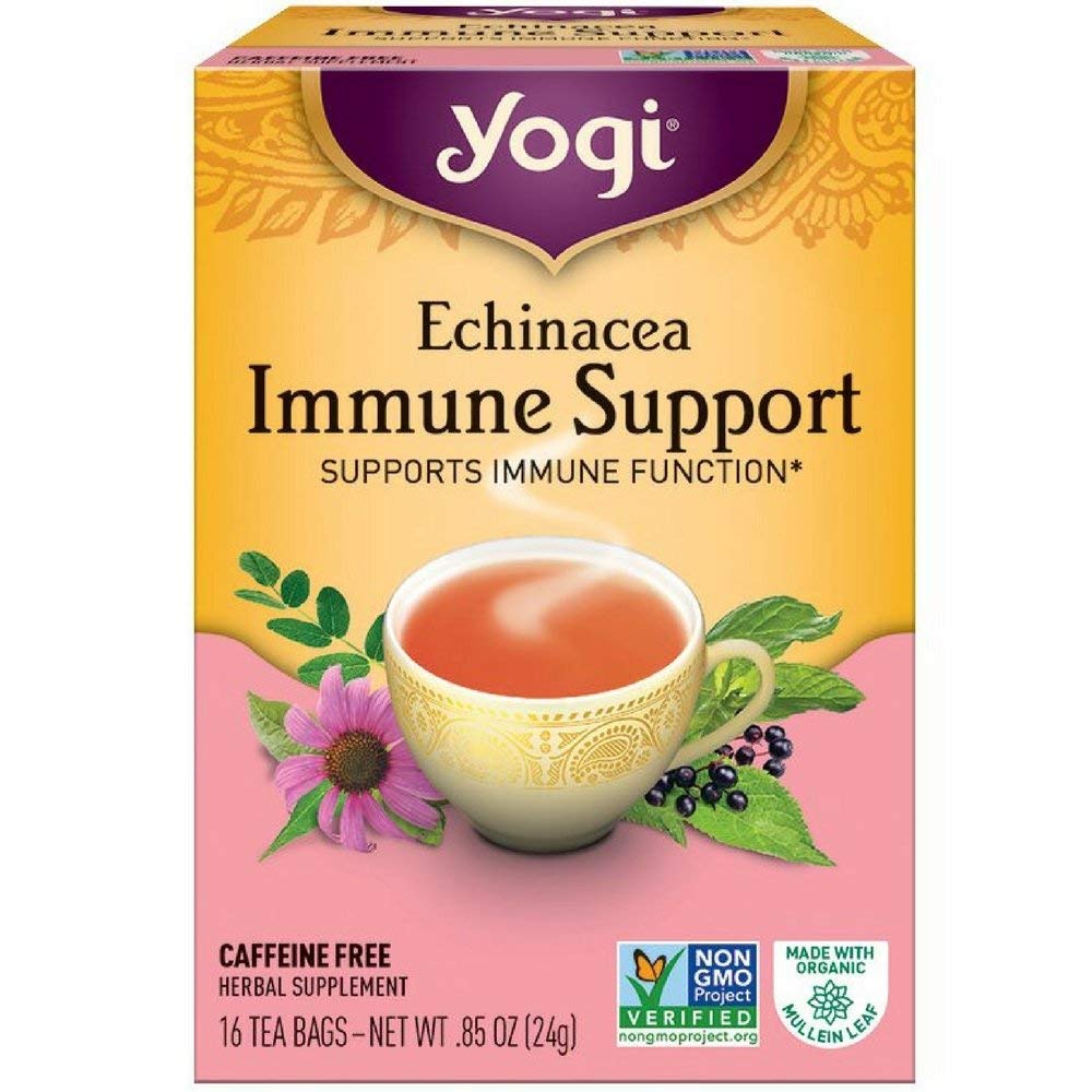 echinacea herbal tea for immunity