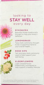 Echinacea herbal tea for wellness