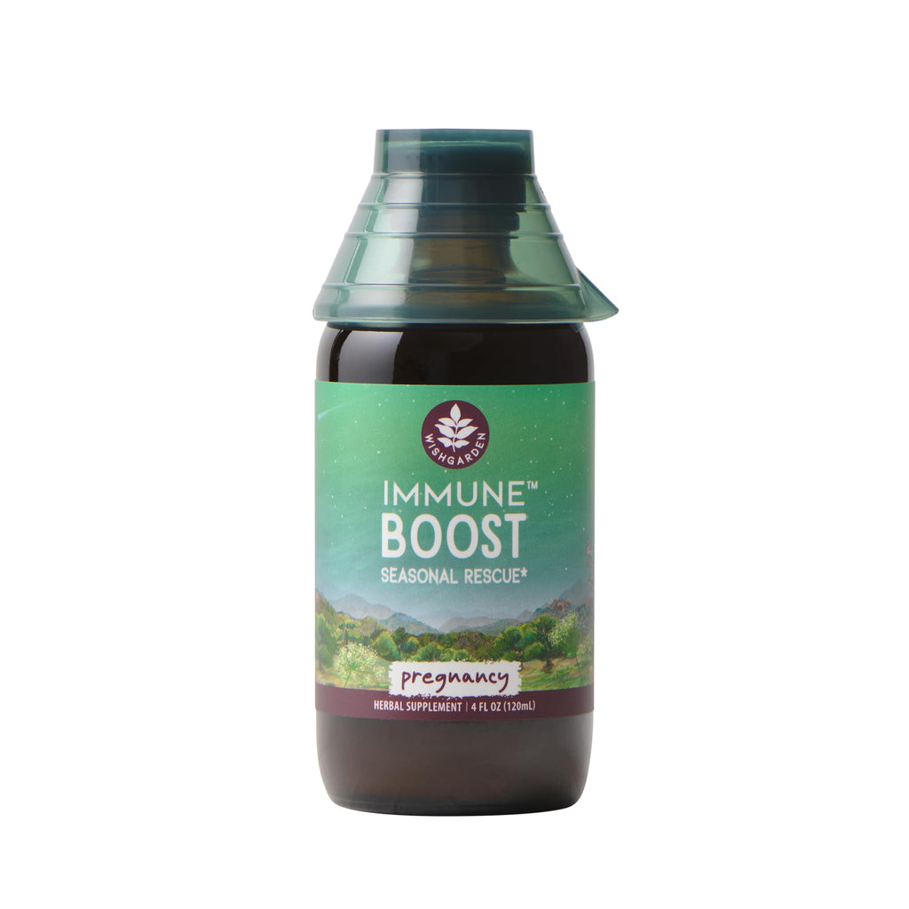 Echinacea herbal tincture for pregnancy