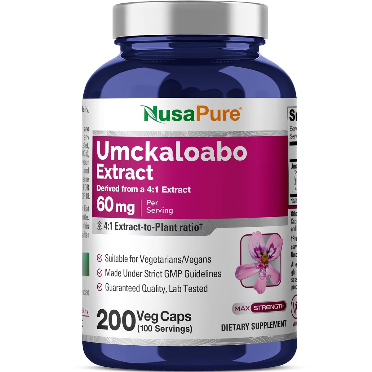 echinacea immune support capsules