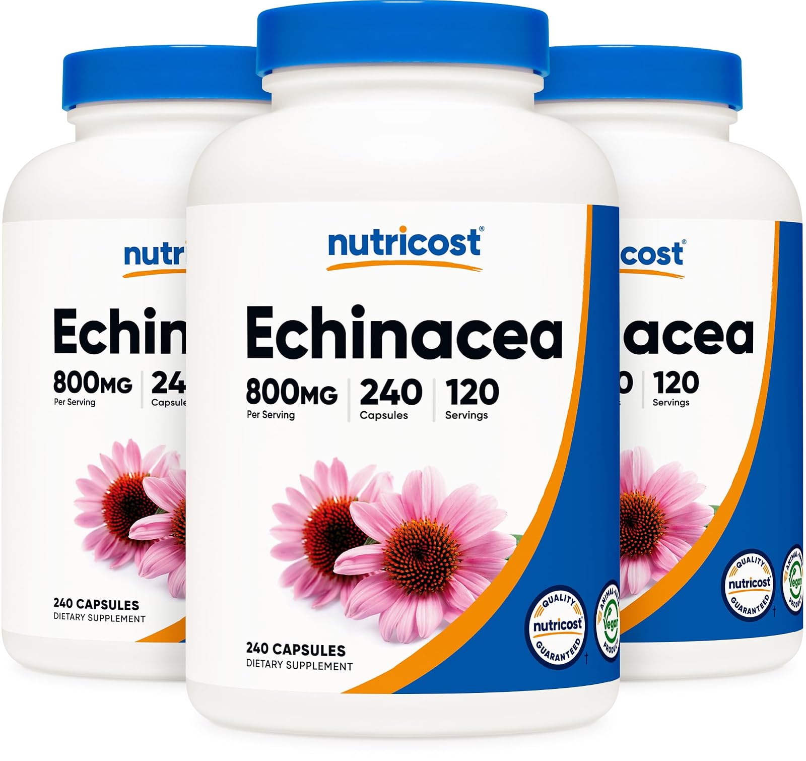 echinacea immune support capsules