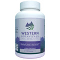 Echinacea immune support capsules