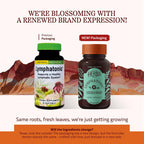 Echinacea immune support softgels