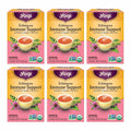 echinacea immune support tea bags