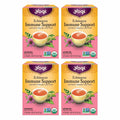 echinacea immune support tea bags