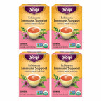 echinacea immune support tea bags