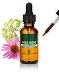 Echinacea immune support tincture