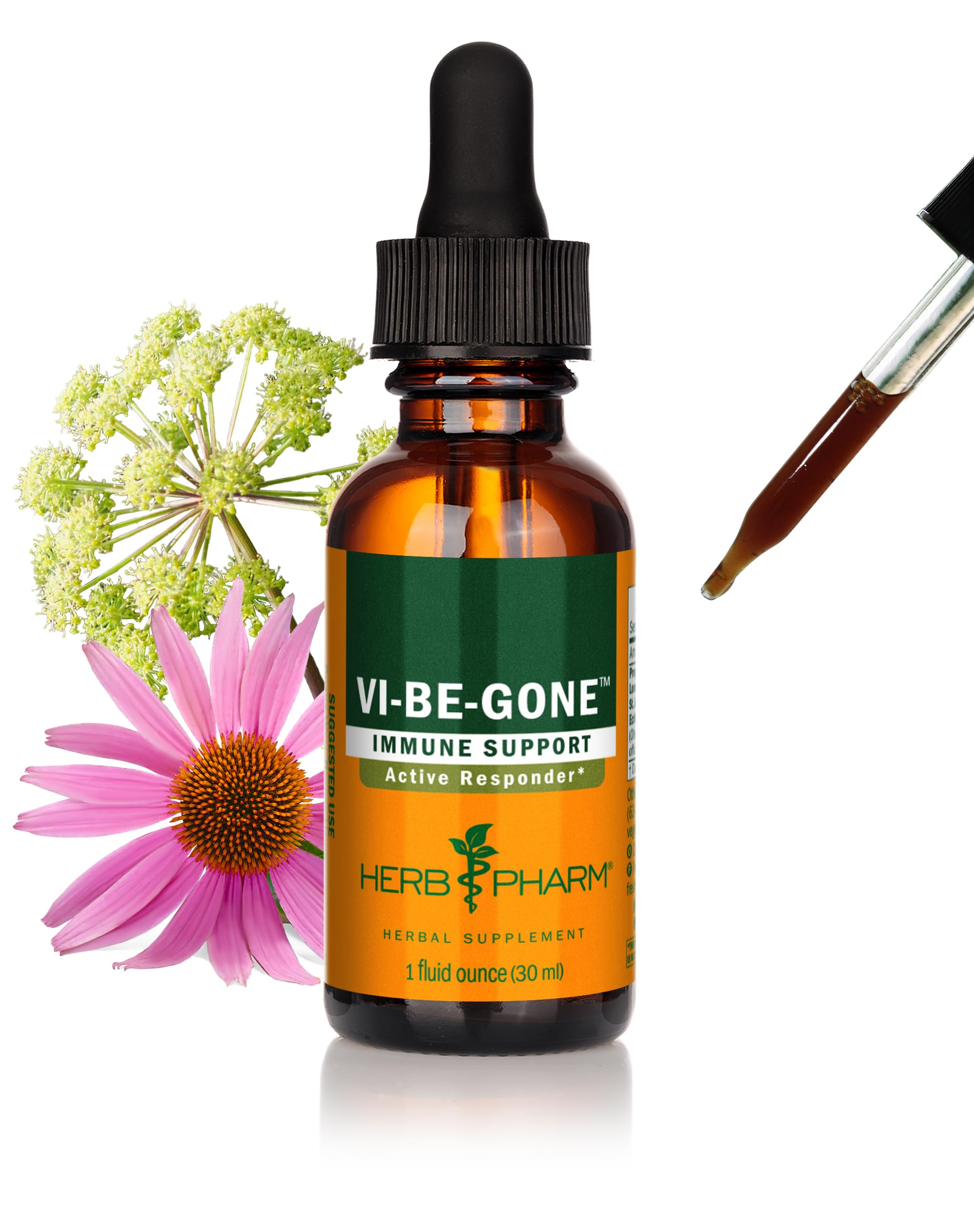 Echinacea immune support tincture