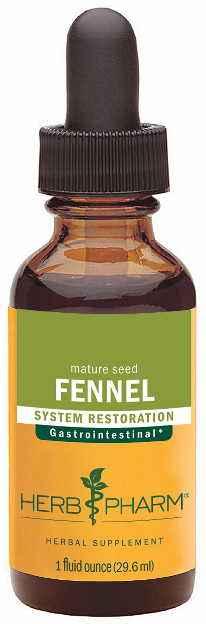 echinacea liquid extract for digestion
