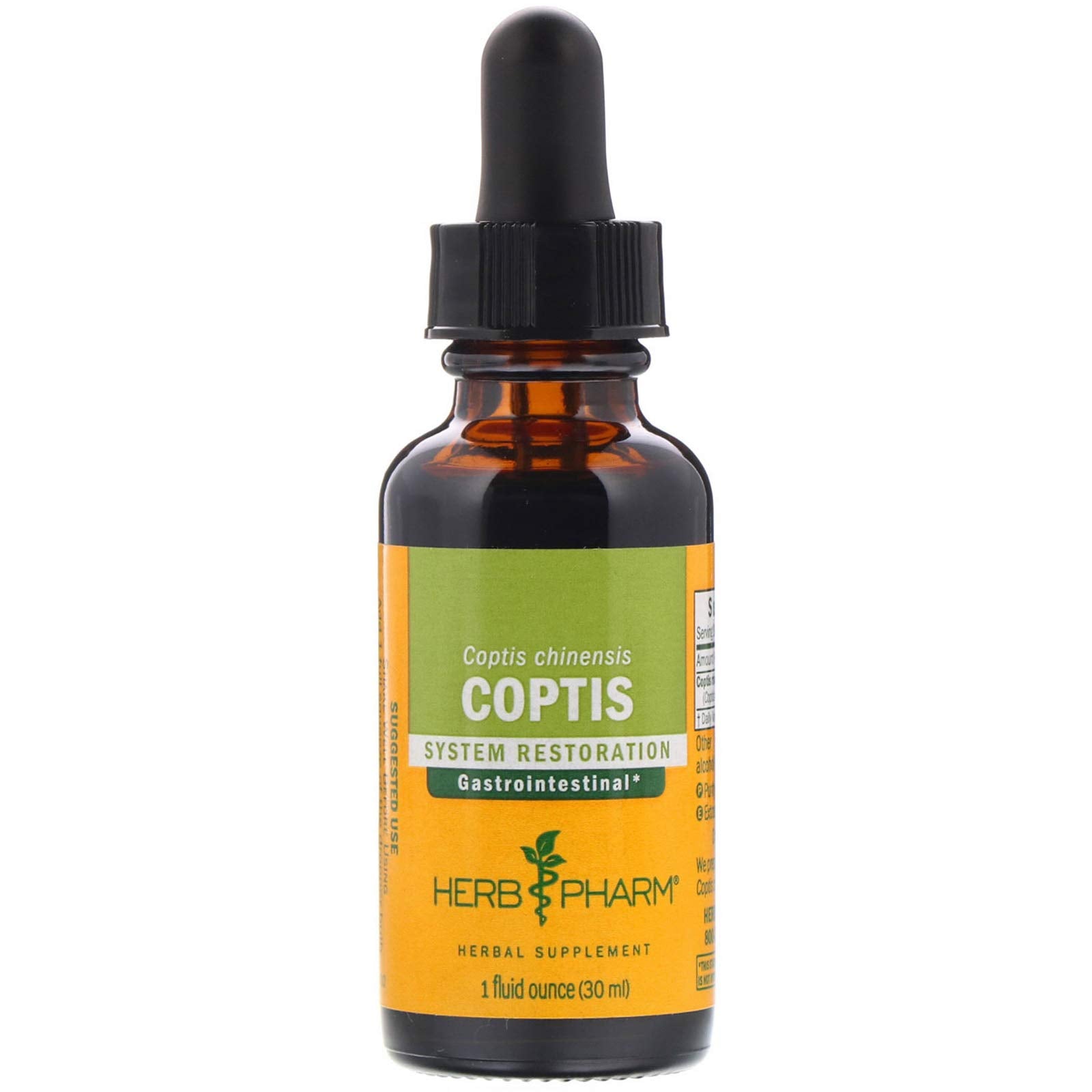 echinacea liquid extract for digestion