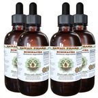 echinacea liquid extract for immunity