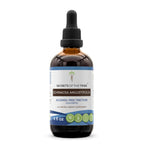 Echinacea liquid extract for immunity