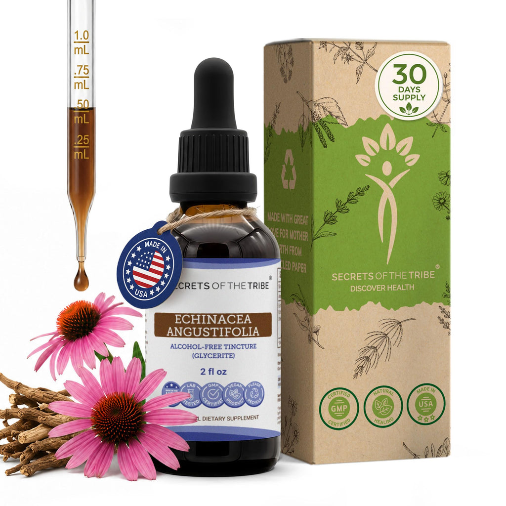 echinacea liquid extract for immunity