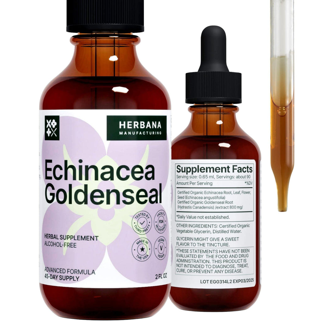 Echinacea liquid extract for immunity
