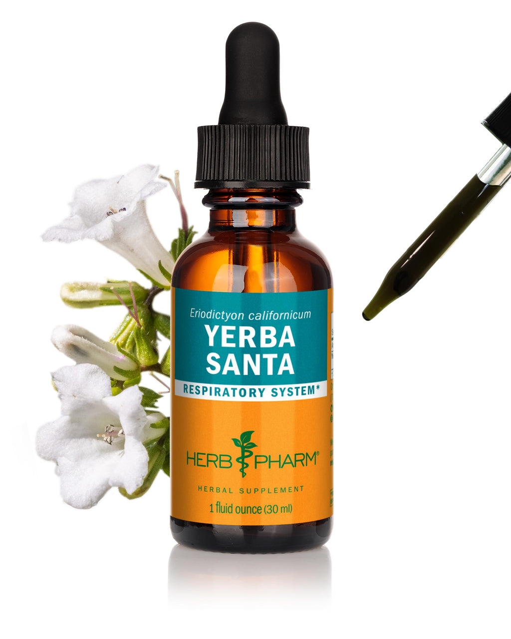 echinacea liquid extract for wellness