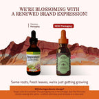 Echinacea liquid for respiratory health