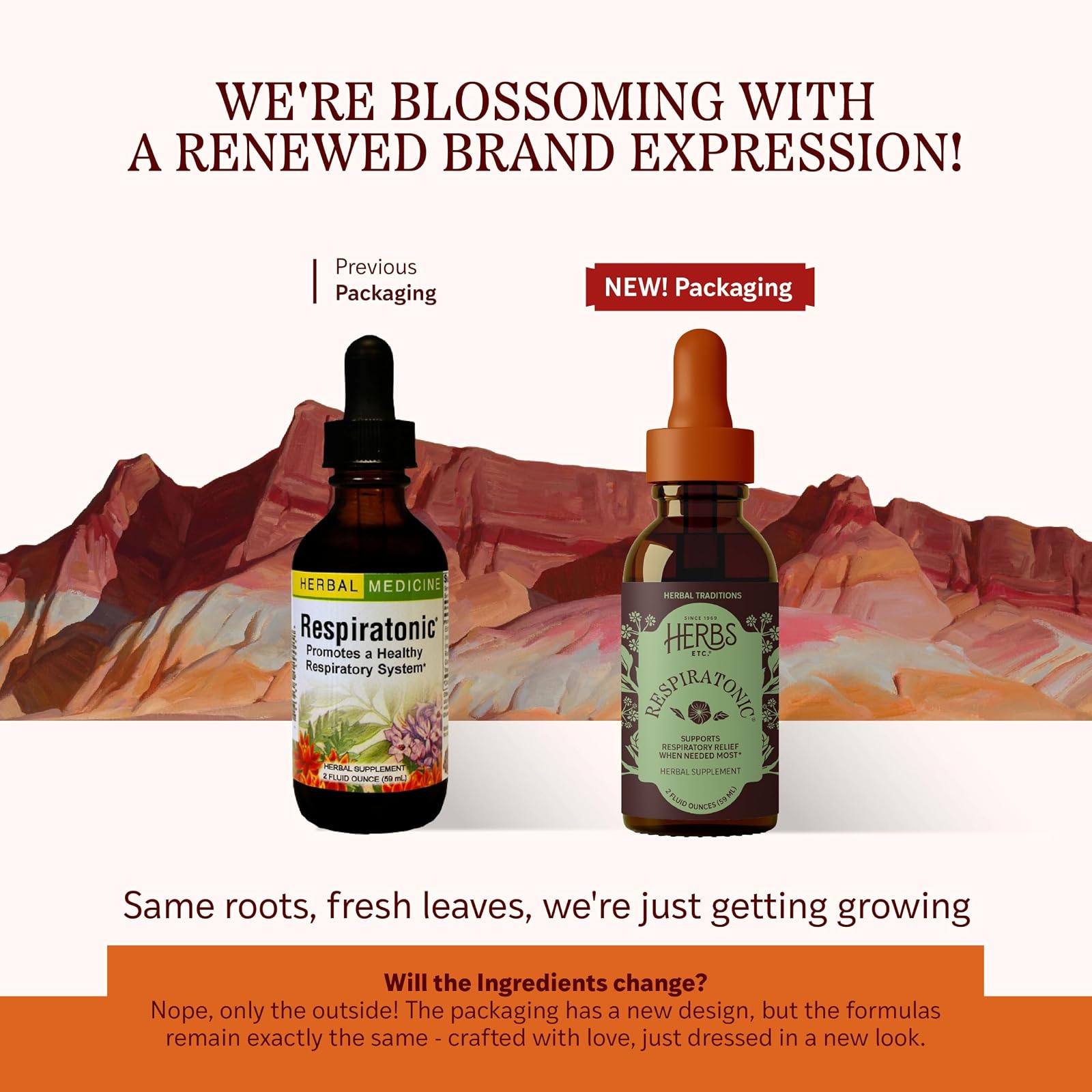 Echinacea liquid for respiratory health