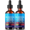 echinacea lymphatic drainage support