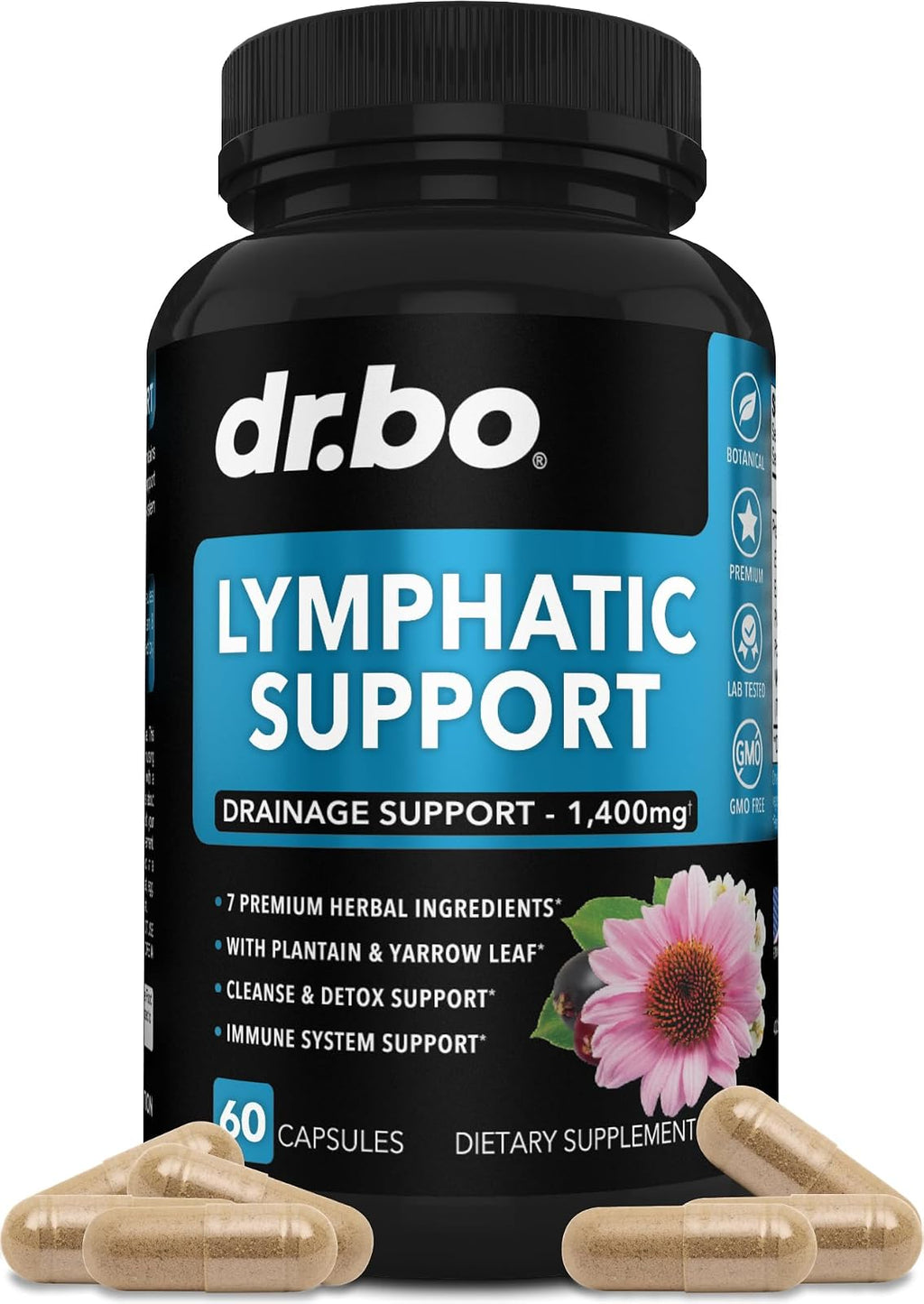 echinacea lymphatic support capsules