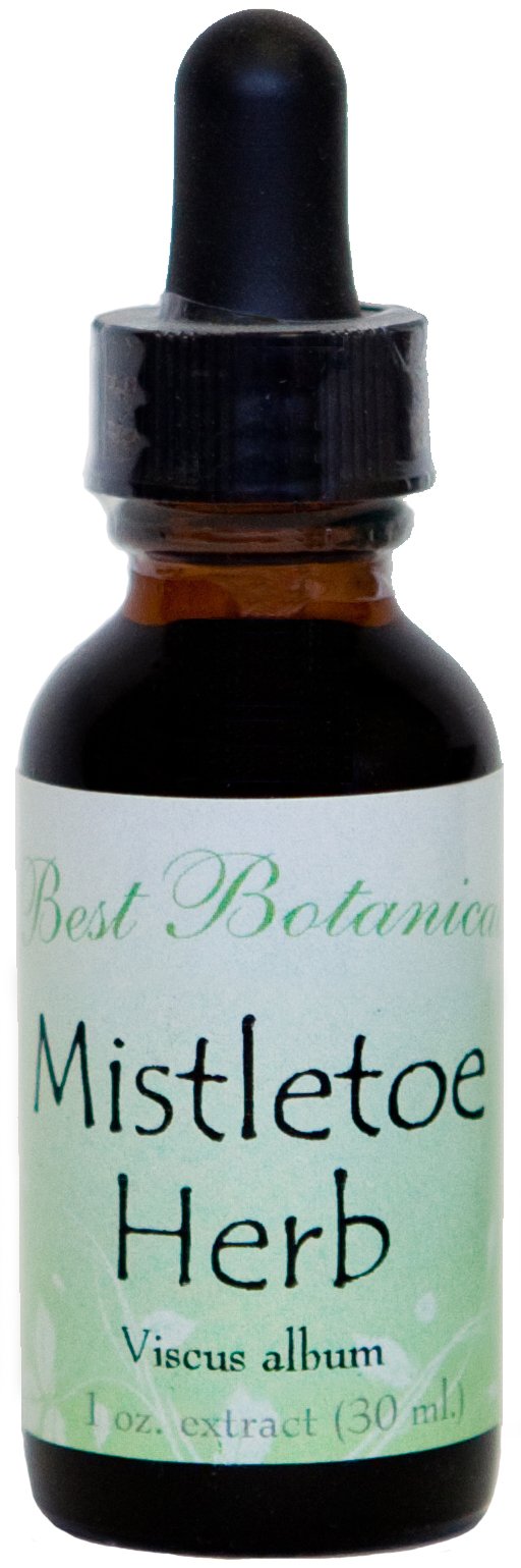 echinacea mistletoe herb extract