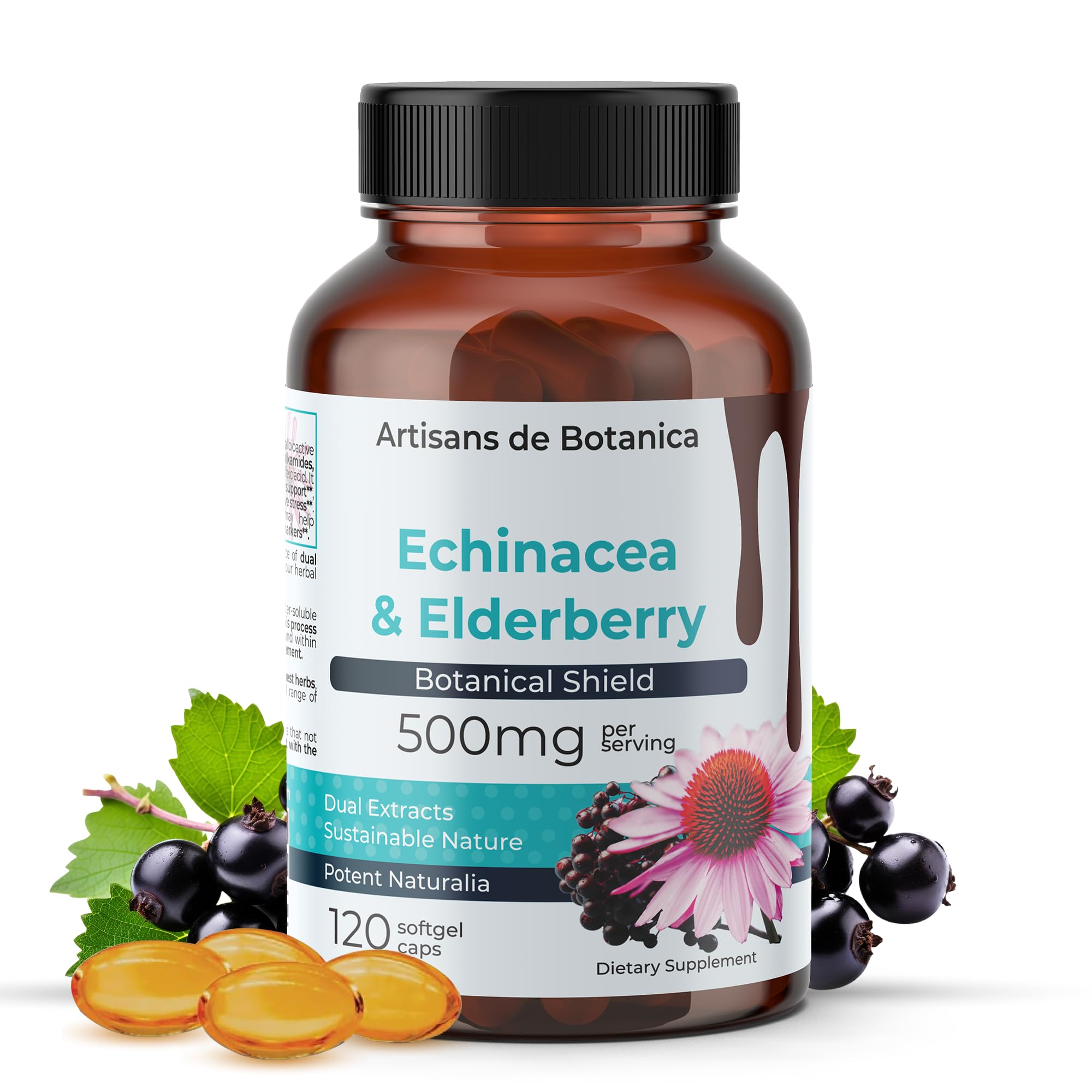 Echinacea oil for respiratory support