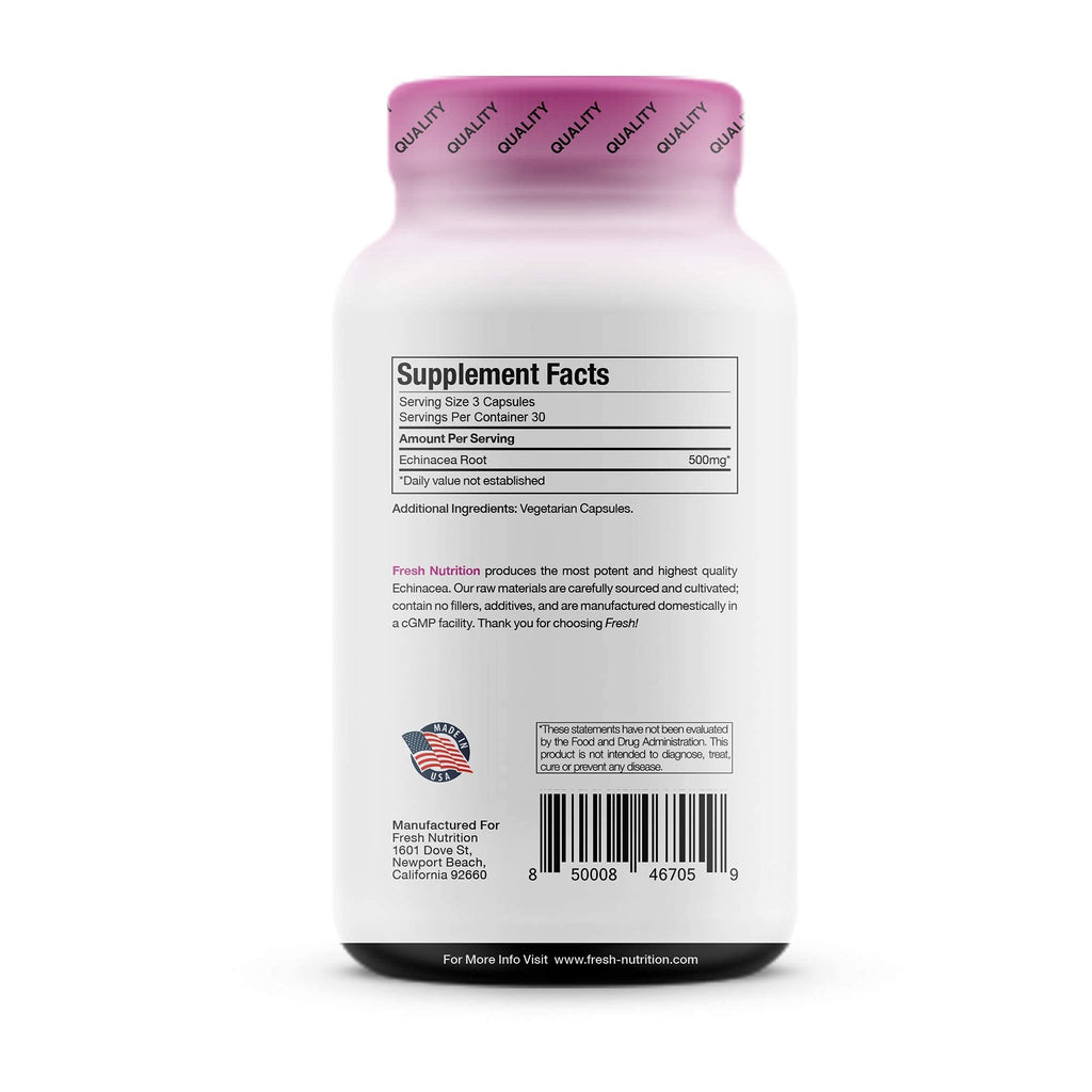 Echinacea plant benefits and uses