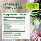Echinacea Plus Elderberry tea benefits