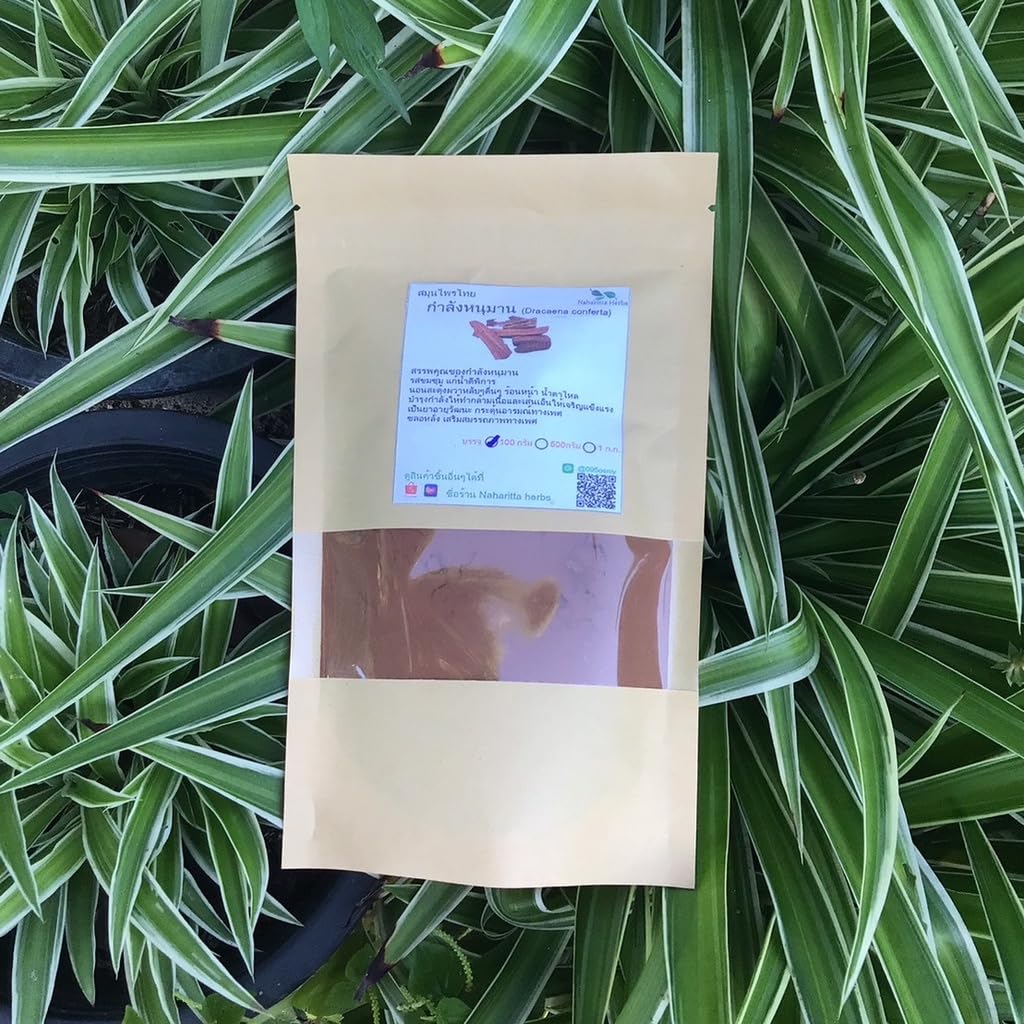 echinacea powder for daily use
