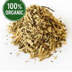 echinacea purpurea for immune support