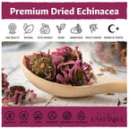 Echinacea purpurea for immune support