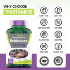 echinacea purpurea for overall health