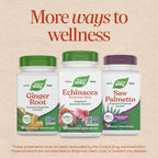 Echinacea Purpurea for vitality