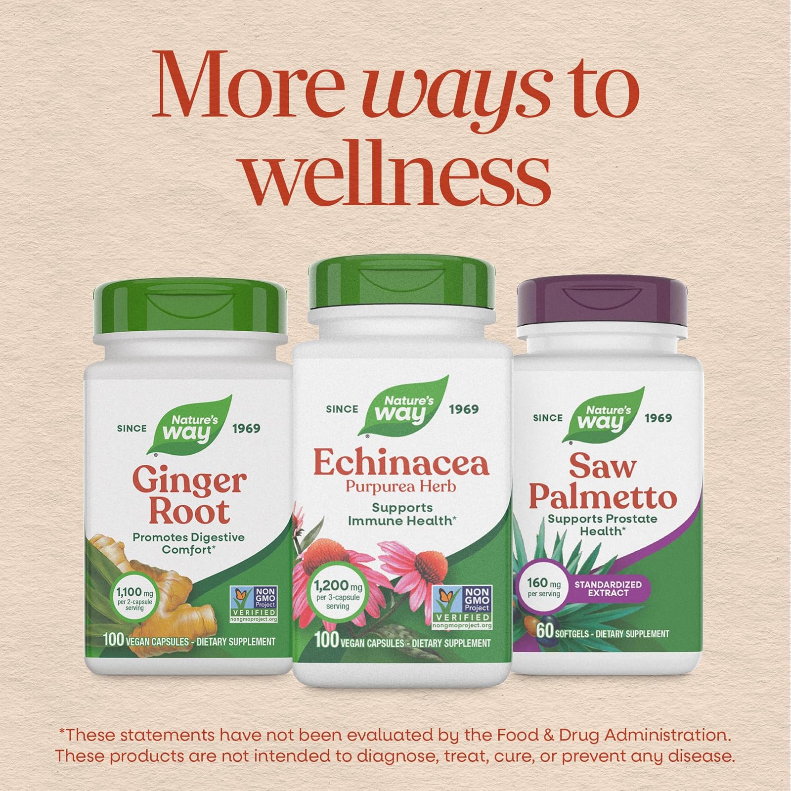 Echinacea Purpurea for vitality