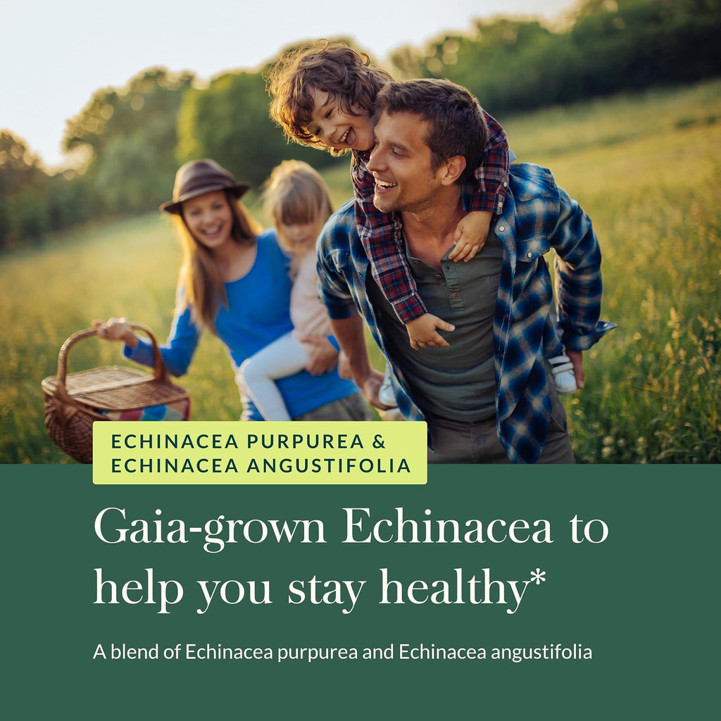 Echinacea Purpurea herbal remedy