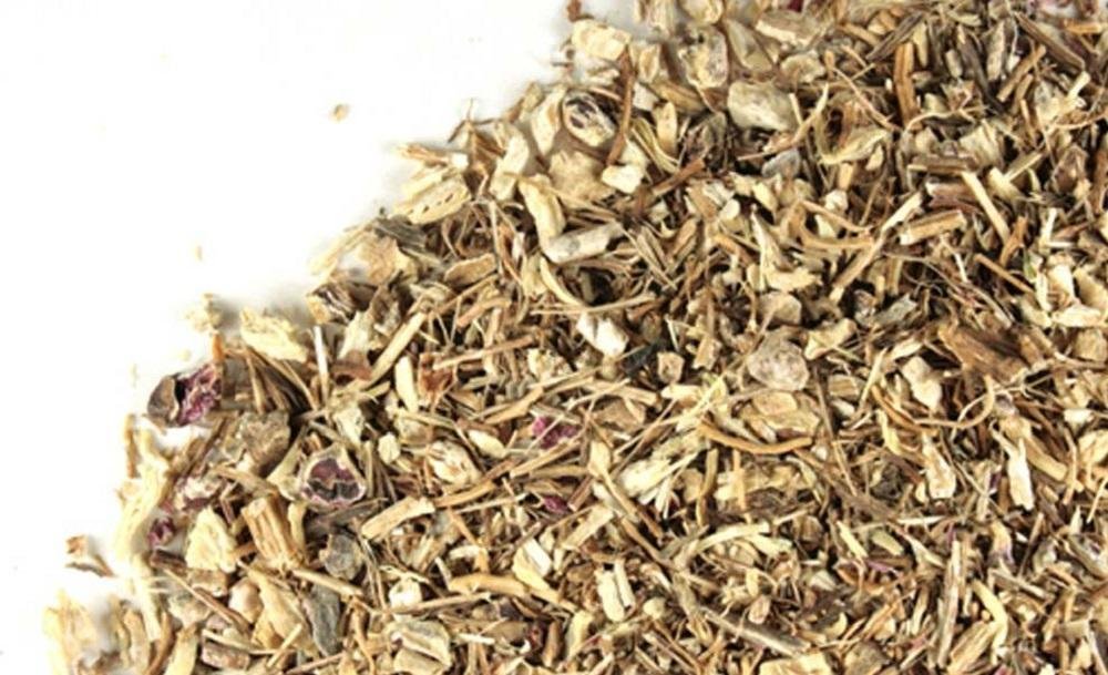 echinacea purpurea root immune support