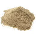 echinacea purpurea root powder benefits