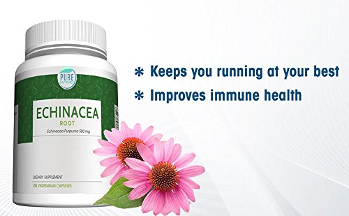 echinacea root capsules for immunity