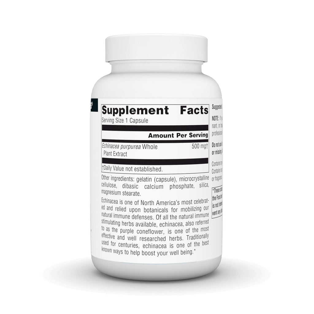 Echinacea root extract for immune support