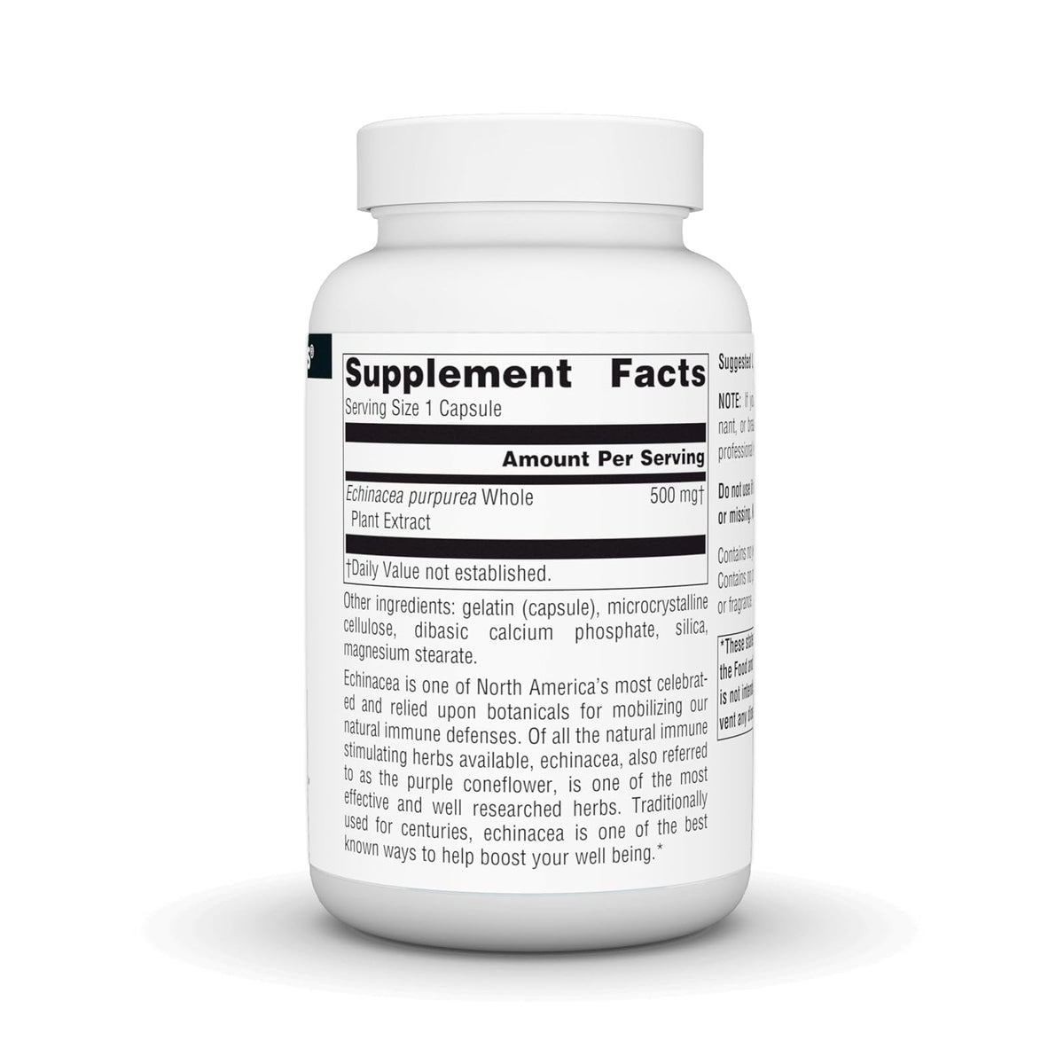 Echinacea root extract for immune support