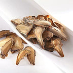 Echinacea root for immune support