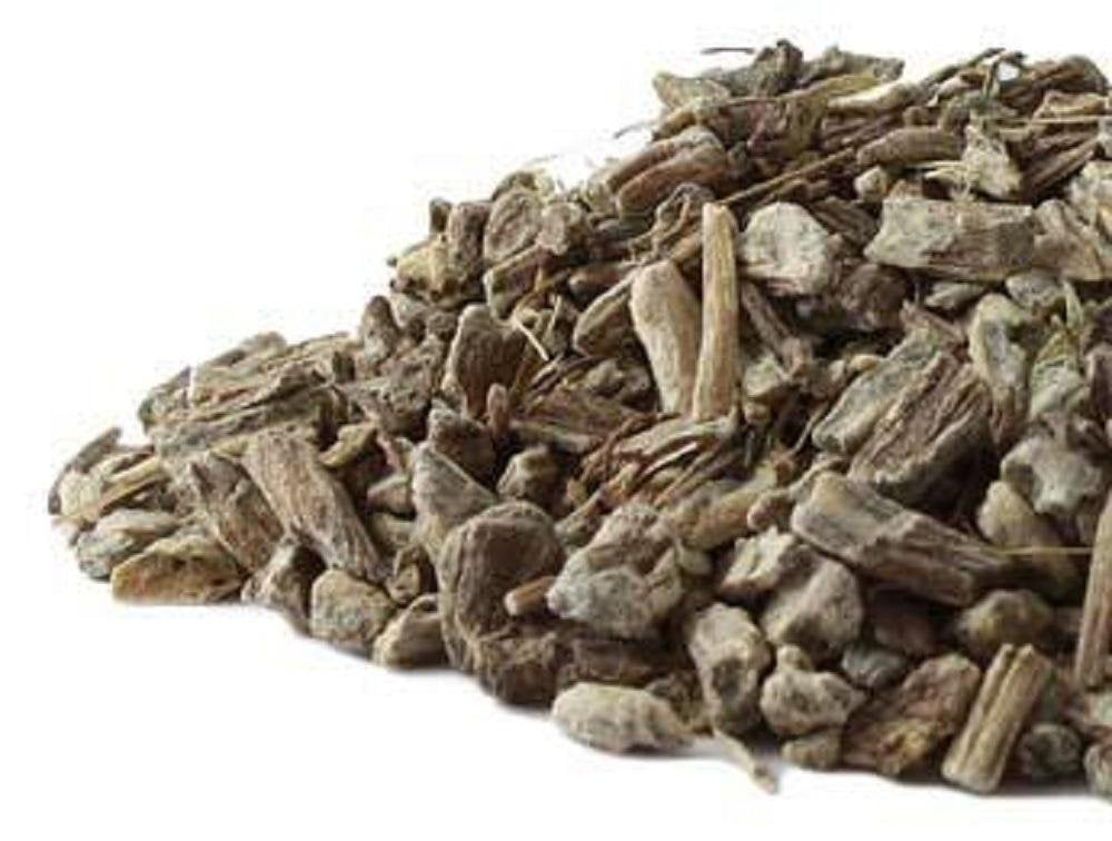 echinacea root for immune support