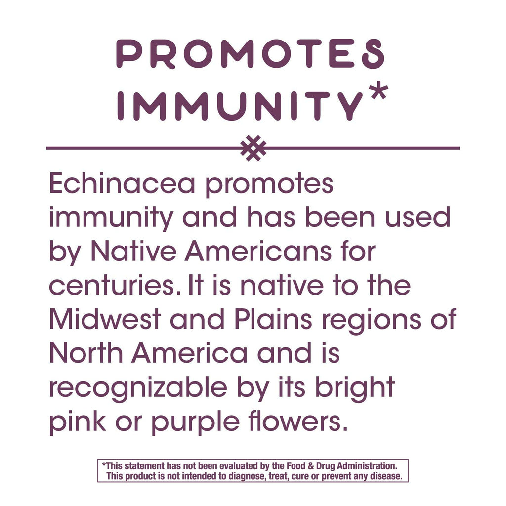 Echinacea root for seasonal health
